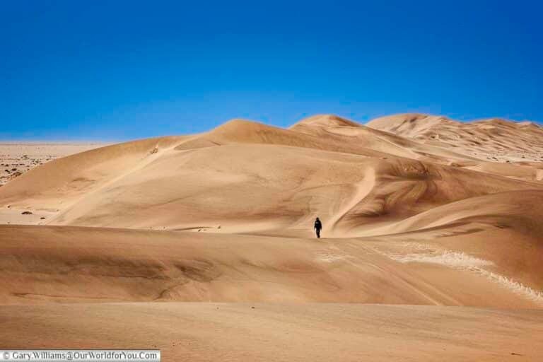 The Little 5, Living Desert tour, Namibia - Our World for You